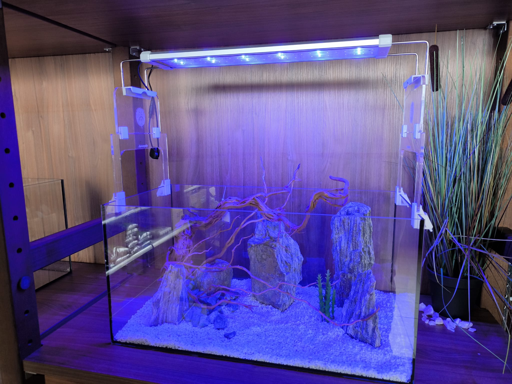 Wunderbar Aquakallax Hmf Erfahrungen Fotos